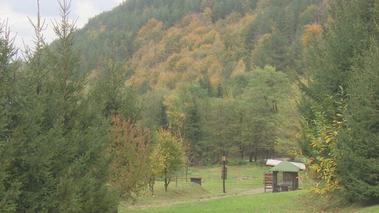 Djedinska planina kod Živinica raj za ljubitelje prirode (FOTO + VIDEO ...