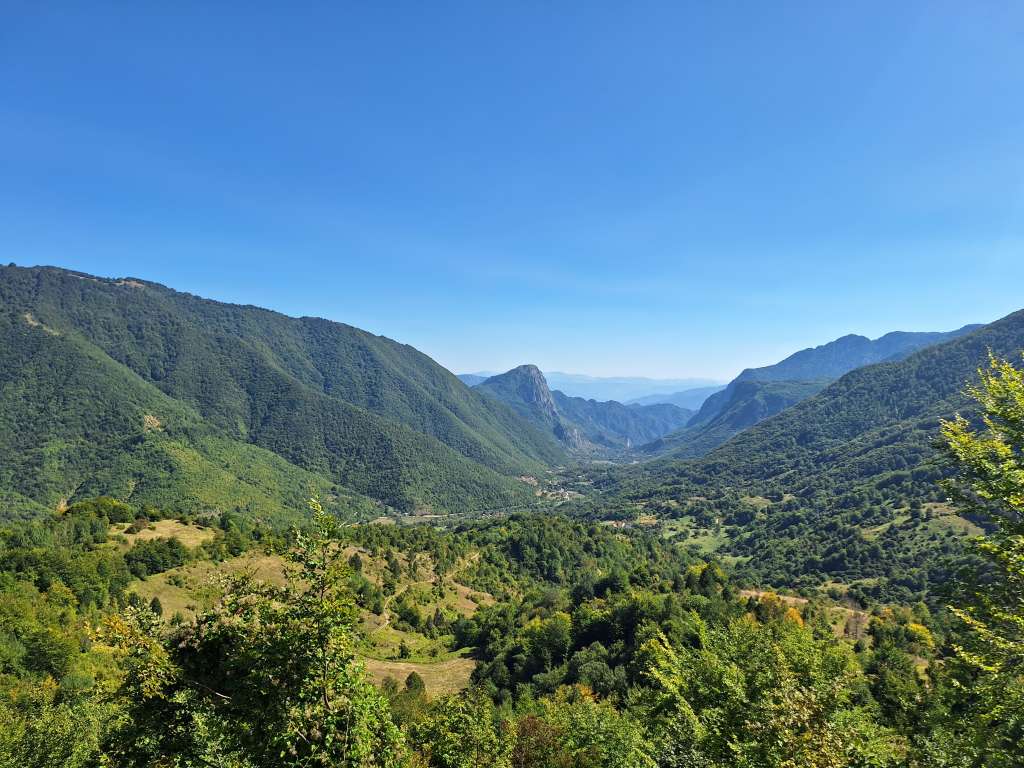 Svjetski dan šuma 2024. – Šume i inovacije: Nova rješenja za bolji ...